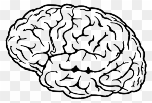 Image Free Brainwashedpictures - Lobulo Temporal Giro Angular - Free ...