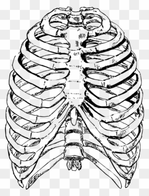 Clip Art Freeuse Cage Drawing Pixel - Human Rib Cage - Free Transparent ...