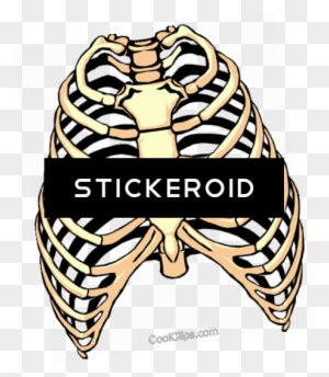 Rib Cage Images Png Images - Ribcage Of A Cat - Free Transparent PNG ...