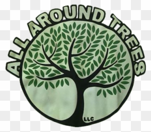 Tony Stewart Foundation - Free Transparent PNG Clipart Images Download