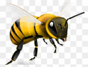 Wasp, Bee, Animal, Insect Icon - Insecto Emoji - Free Transparent PNG ...