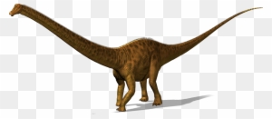 Diplodocus Is A Plant Eater, He Has His Long Neck To - Diplodocus ...
