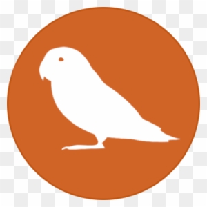 Available Birds - Phone Logo Orange Png - Free Transparent PNG Clipart ...