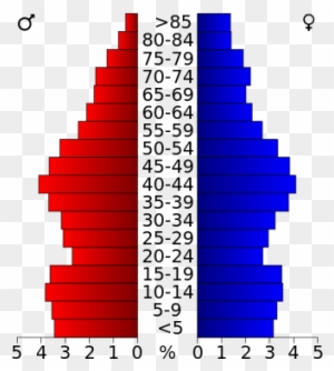 Tuscarawas County, Ohio - Population Pyramid Of Palm Beach County ...