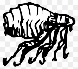 Black Death Insect Flea Clip Art - Black Death Insect Flea Clip Art ...