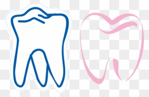 Human Tooth - Free Transparent PNG Clipart Images Download