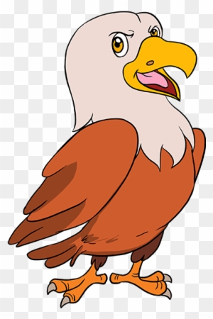 Hawk Cartoon - Drawing - Free Transparent PNG Clipart Images Download