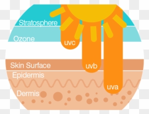 Sun Protection - Free Transparent PNG Clipart Images Download