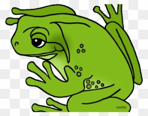 Amphibian Clipart Real Frog - Green Frog Clipart - Free Transparent PNG ...