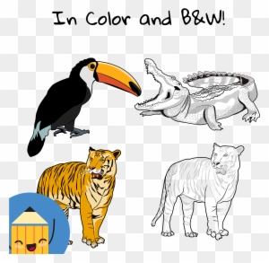 Zoo, Transparent PNG Clipart Images Free Download - ClipartMax