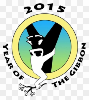 Gibbon, Transparent PNG Clipart Images Free Download - ClipartMax