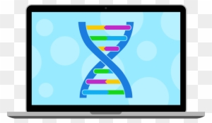 Just Launched This Past Fall, Computational Biology - Mathematics ...