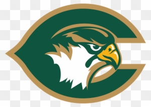 Staley Falcons - Staley High School Falcon - Free Transparent PNG ...