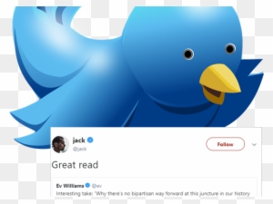 Larry Bird Twitter Logo - Twitter And Larry Bird - Free Transparent PNG ...