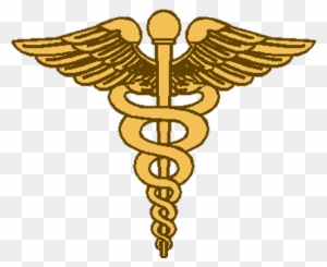 Army Medical Department Insignia - Army Medical Command Logo - Free ...