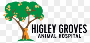Higley Groves Animal Hospital - Free Transparent PNG Clipart Images ...
