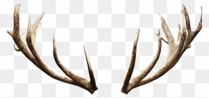 Png Free Download Antlers Transparent Background - Deer Antlers ...