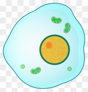 Biology Clipart Cell For Kids - Real Madrid C.f. - Free Transparent PNG ...