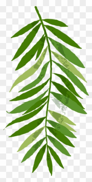 Discover Your Honeymoon Style - Smooth Sumac - Free Transparent PNG ...