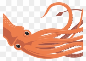 Realistic Clipart Squid - Giant Squid Clip Art - Free Transparent PNG ...