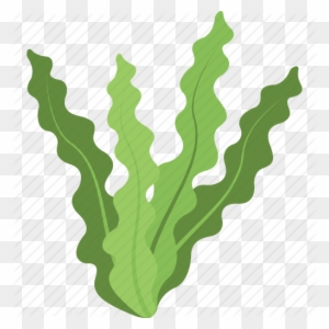 Algae Icon Png Clipart Algae Clip Art - Algae Icon Png - Free ...