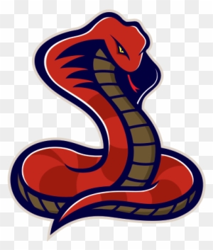 Metallica Black Album Snake