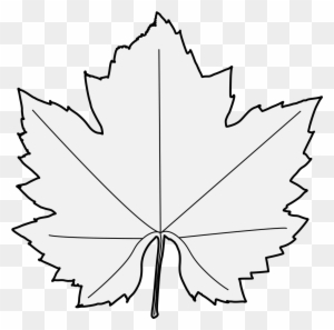 Pdf - Maple Leaf - Free Transparent PNG Clipart Images Download
