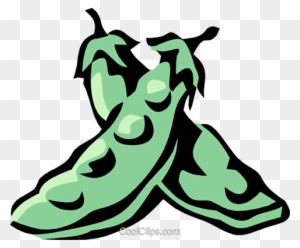 Snow Peas Royalty Free Vector Clip Art Illustration - Snow Peas Royalty ...