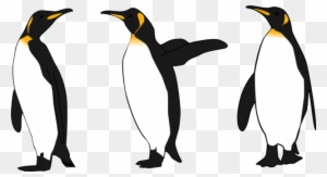 Penguin - Gentoo Penguin - Full Size PNG Clipart Images Download