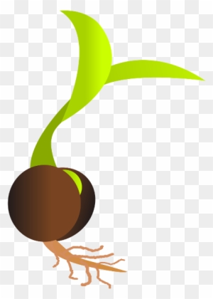Sprouting Seed Germination Clip Art - Seed Png - Free Transparent PNG ...