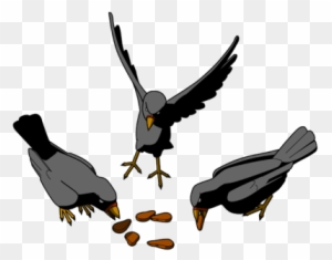 Birds Eating Seeds - Seeds On A Path - Free Transparent PNG Clipart ...