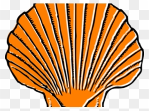 Orange Sea Shell - Sea Shell Cartoon Png - Free Transparent PNG Clipart ...