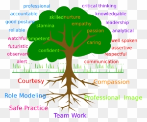 Parts Of A Tree Lesson Plan Education Com Rh Education - Parts Of A ...