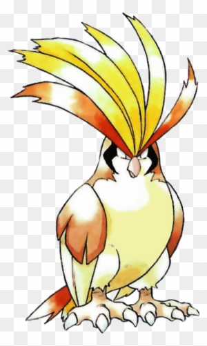 Hm02 Fly Pp - Pokemon Pidgeot - Free Transparent PNG Clipart Images ...