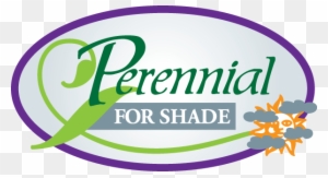 Plant Details - Calligraphy - Free Transparent PNG Clipart Images Download