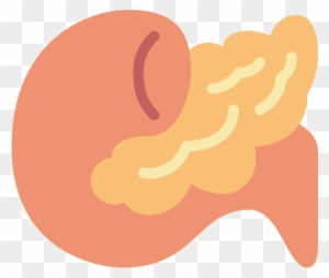 Pancreas Free Icon - Pancreas Svg - Free Transparent PNG Clipart Images ...
