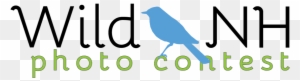 2018 Wild Nh Photo Contest - Nh Audubon - Free Transparent PNG Clipart ...