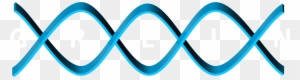 Geo Rna-seq Experiments Interactive Navigator - Grein, Austria - Free ...