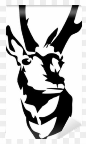 Antelope Head Drawing