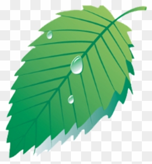 Hibernate Pro Apk - Free Transparent PNG Clipart Images Download