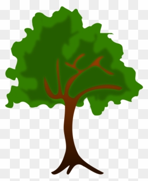 Tree Clip Art Microsoft Clipart - Water Interception Of Trees - Free ...