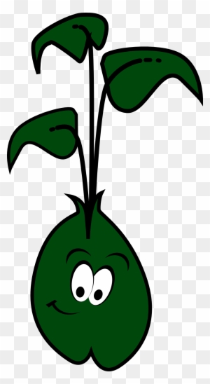 Sprout Clip Art, Transparent PNG Clipart Images Free Download - ClipartMax