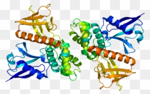 Merlin Neurotech - Merlin Neurotech - Free Transparent PNG Clipart Images Download