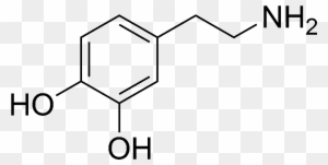 Dopamine Causes Symptoms Treatment Dopamine - Dopamine Chemical ...
