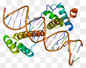 The Spectra Of Molecules Infrared Chempaths