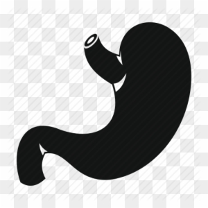 Digestive System Png Icon - Free Transparent PNG Clipart Images Download