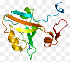 Protein Structure Clipart, Transparent PNG Clipart Images Free Download ...