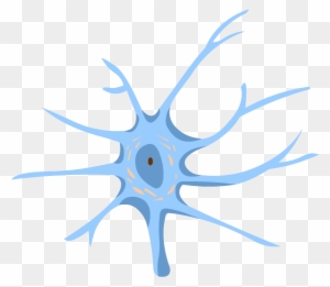 Peripheral Nervous System Png - Free Transparent PNG Clipart Images ...