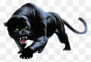 Fancy Panther Head Clipart Panther Png Transparent - Devon Meadows ...
