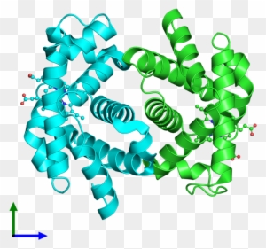 Ribbon Structure Of 2hbf - Hemoglobin Subunit Beta - Free Transparent ...